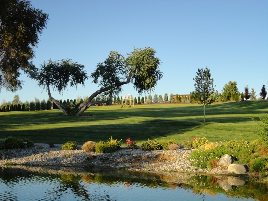 About – Hidden Meadow